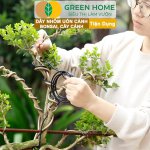 Dây Nhôm Uốn Cây Cảnh Bonsai D1.5mm GreenHome