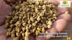 Vai Trò Của đất Trồng Akadama Và Cách Sử Dụng đất Hiệu Quả