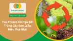 Top 9 Cách Cải Tạo đất Trồng Cây Đơn Giản, Hiệu Quả Nhất